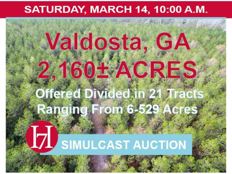 Home | Seven Hills Auctions